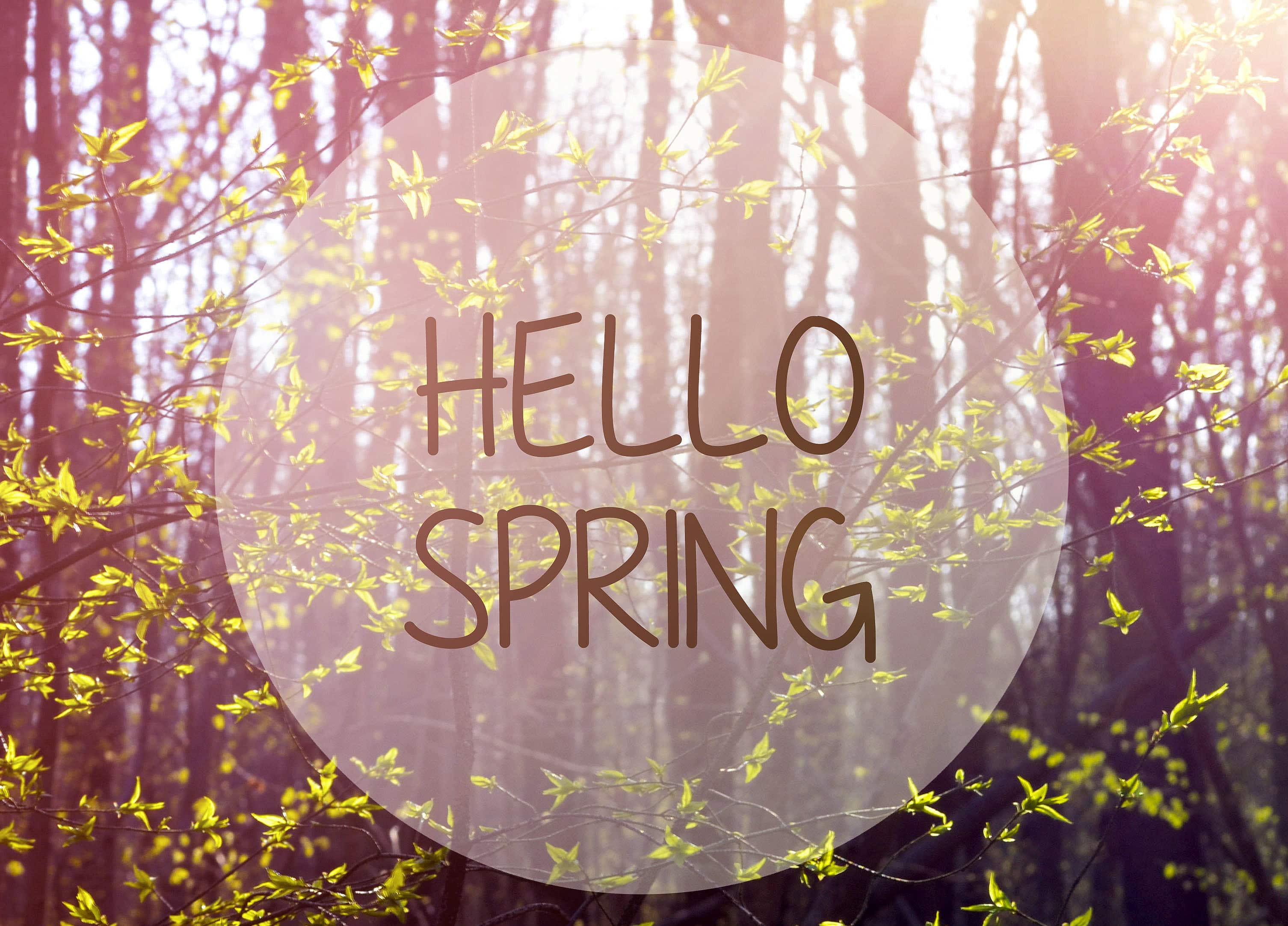 3 Ways To Renew Your Smile This Spring! | Springfield, OH